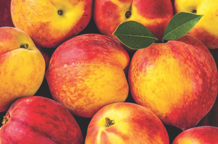 Peach perfect | News, Sports, Jobs - Marietta Times